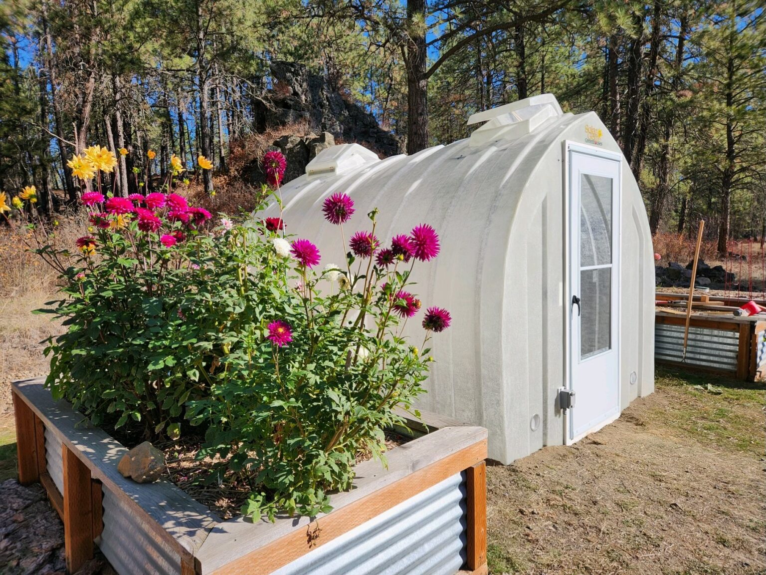 Backyard Greenhouse Supplier Tacoma | Homesteading, Hydroponic System ...